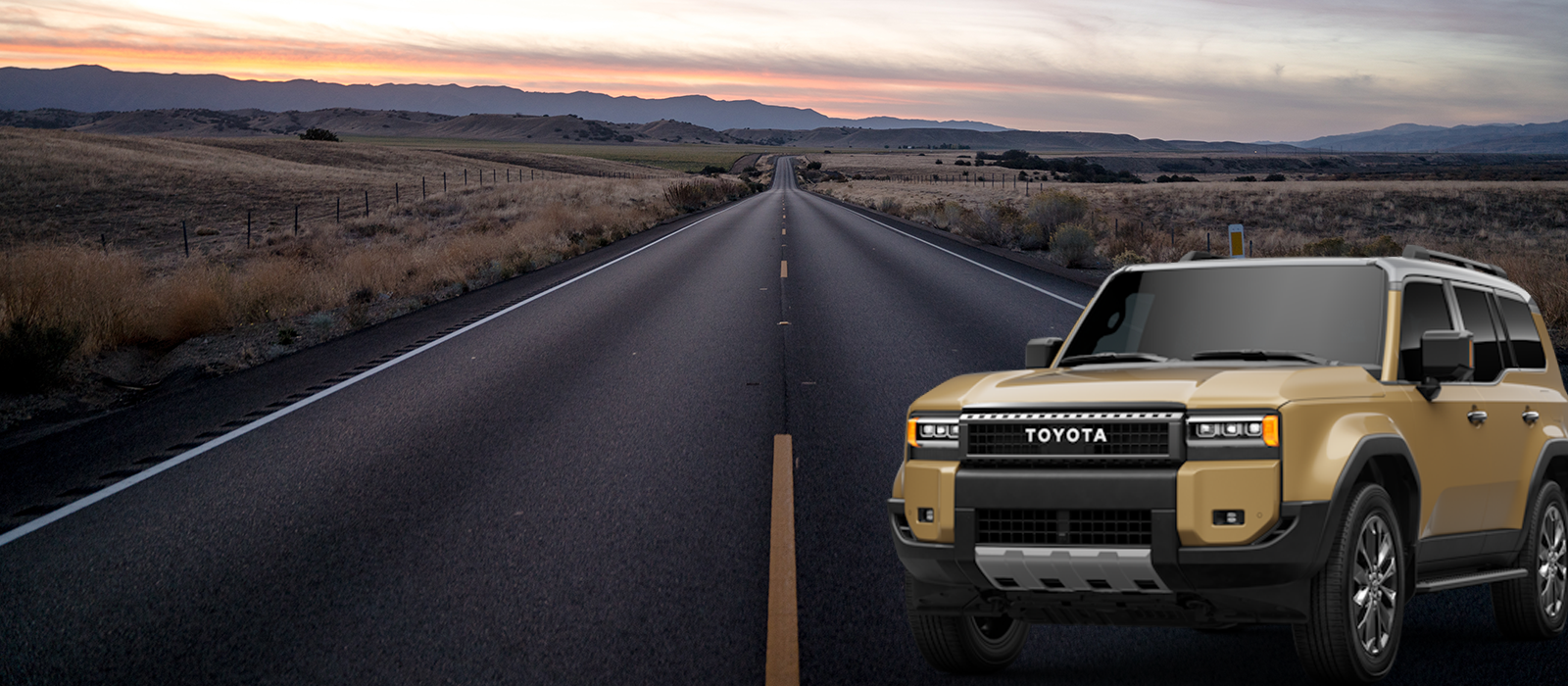 Nippon Motor Company